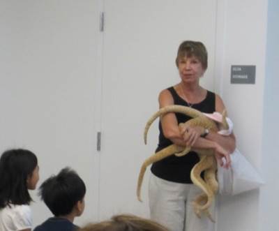 Author Visits | Dive in with Mary M. Cerullo, children’s author